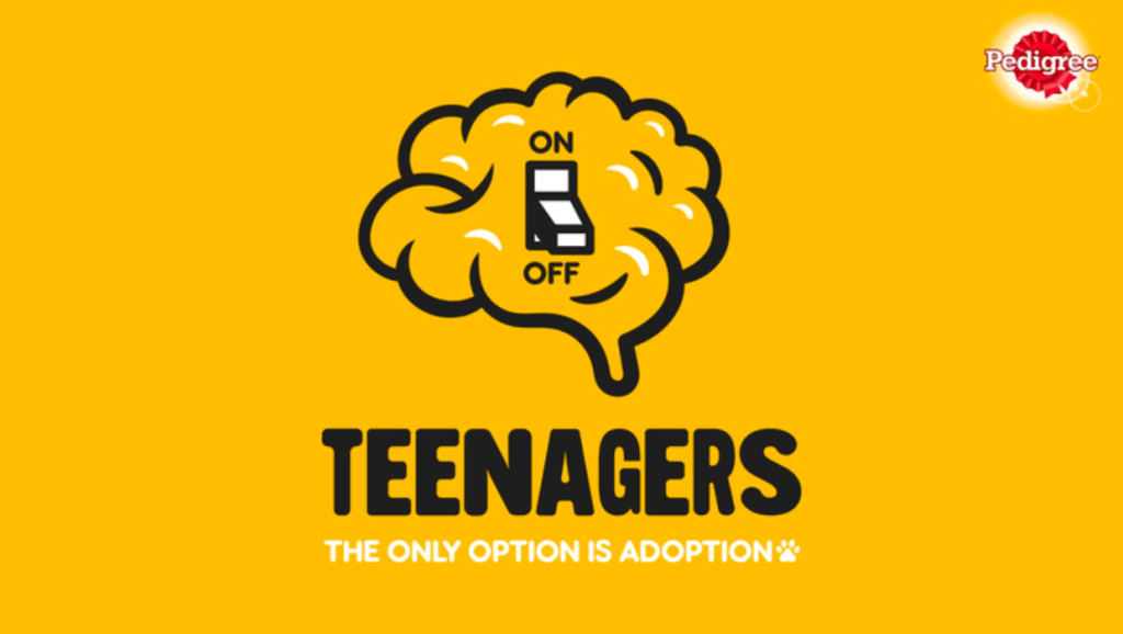 The 10 Best Radio Ads You Need to Hear in 2024 | PageProof